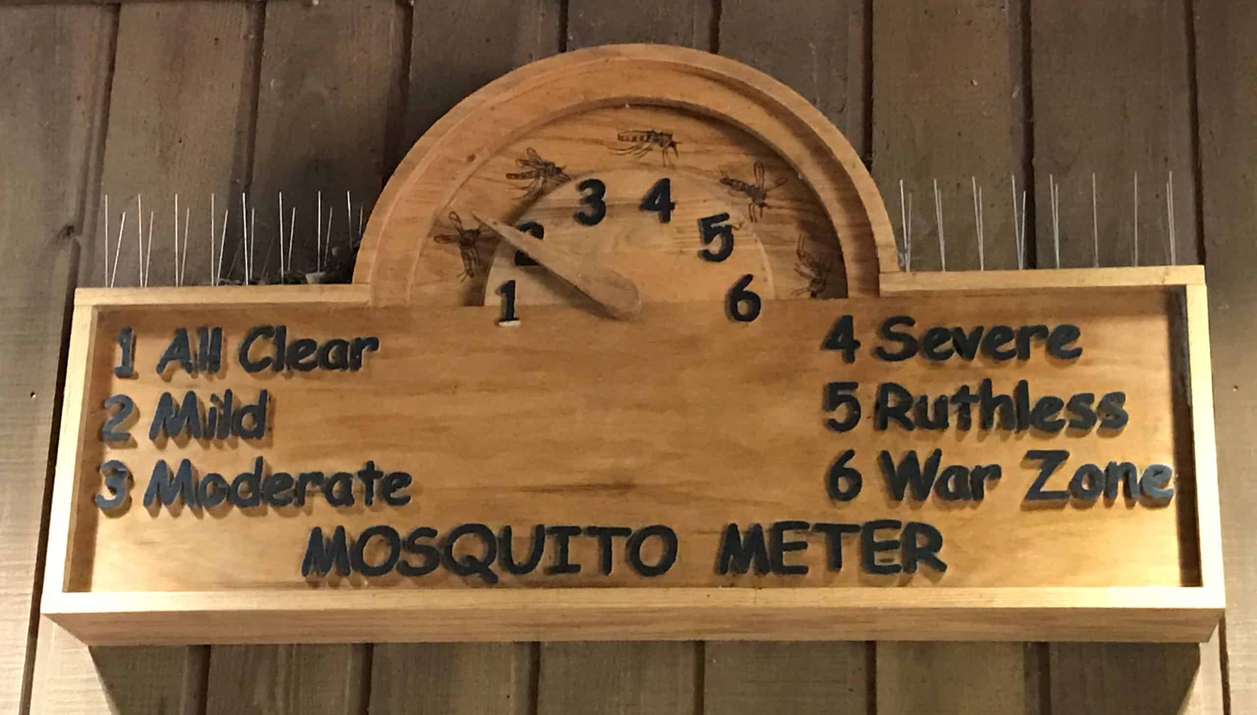 19 Things To Do In Congaree National Park: The Mosquito Meter Park ...